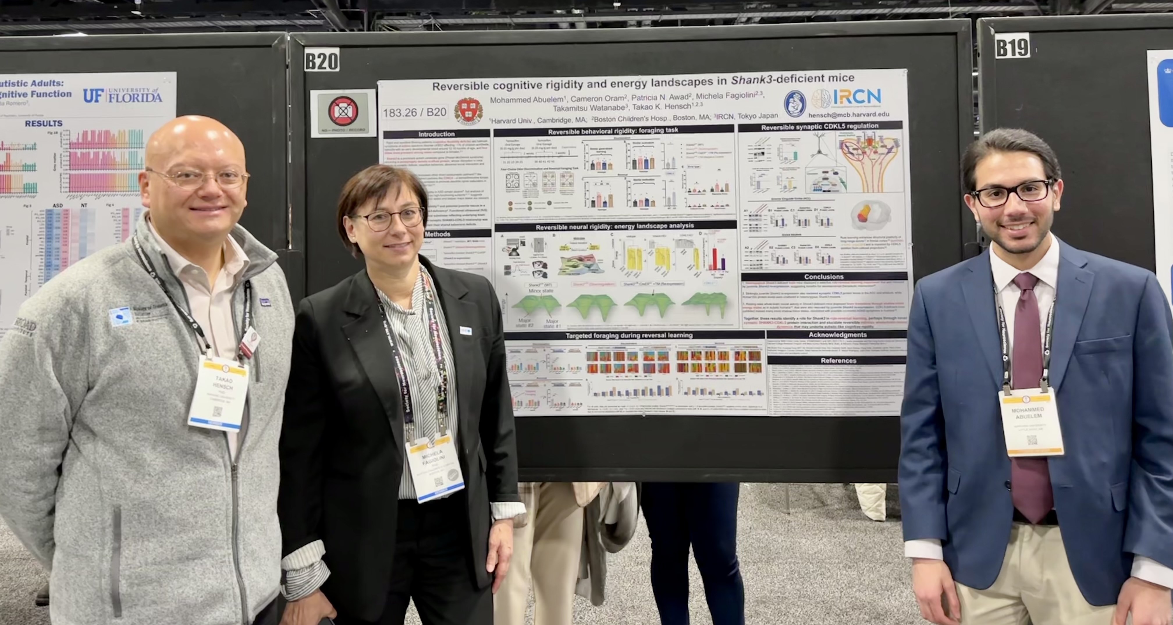 Hensch Lab | How experience shapes brain development